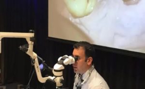 Home - Dental Education Hub